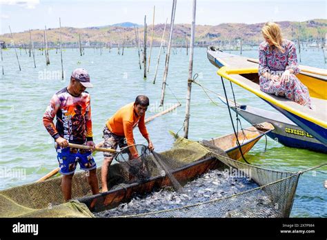 Talim Island Queen Maxima Visits Card Mri And Pioneer Insurance On