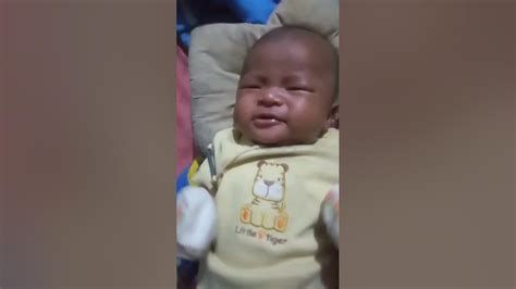 កូនជ្រូក🐷យំហើយ Youtube