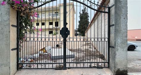 El PSOE denuncia la aparición de una plaga de insectos proveniente de