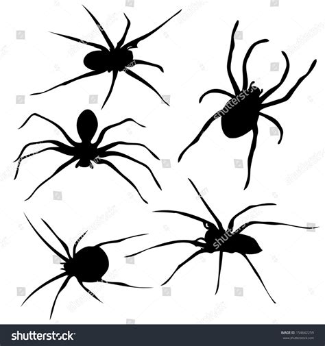 Spiders Silhouette Vector Stock Vector Royalty Free 154642259
