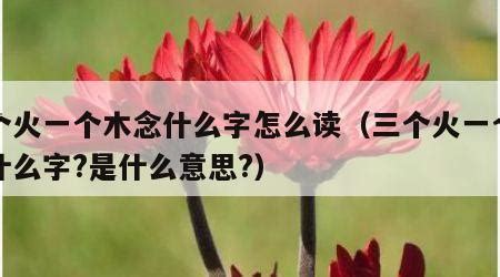 三个火一个木念什么字怎么读三个火一个木念什么字 是什么意思 小书橱知识