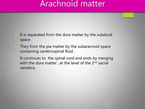 Nervous System Ppt Ppt