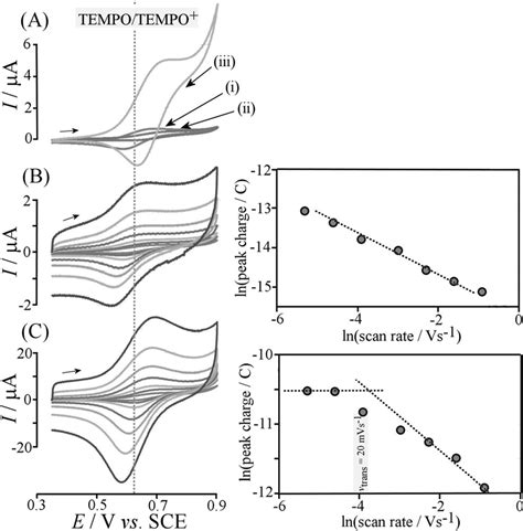 A Cyclic Voltammograms Scan Rate 10 Mv S −1 In 01 M Carbonate