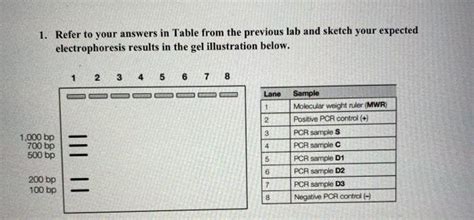 1 refer to your answers in table from the previous