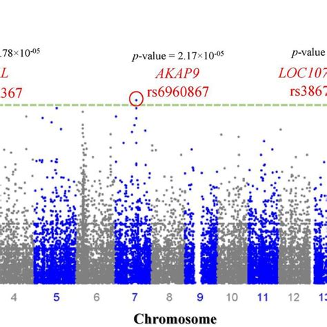 Manhattan Plot A Total Of N 243345 Snps Are Plotted According To