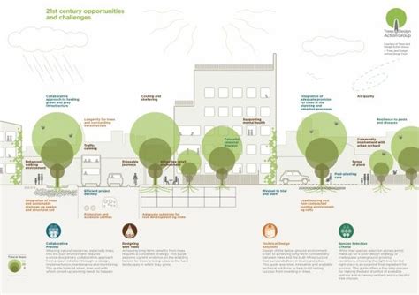 Trees In Hard Landscapes Guide For High Performance Urban