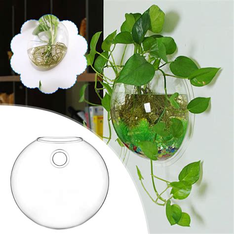 5 Packs Wall Mounted Glass Vase Flat Cake Vase For Hydroponic Plants