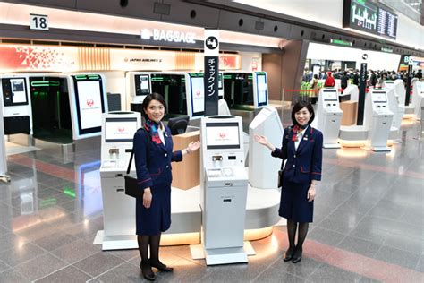 運ぶ 誓約 に対応 国内線 Jal 荷物 見込み ビーム ハーネス