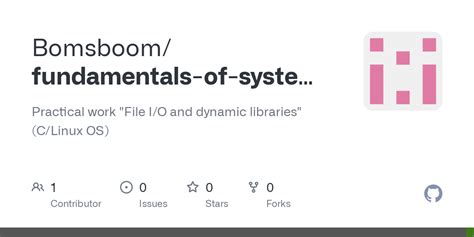 github bomsboom fundamentals of system programming practical work