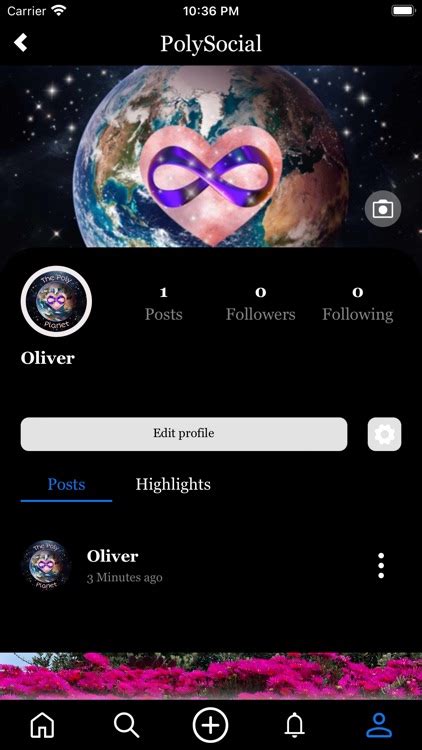 The Poly Planet By Kevin Rosado