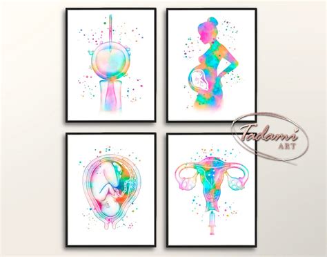 In Vitro Fertilization Art Ivf Poster Fetus In Womb Print Fertility