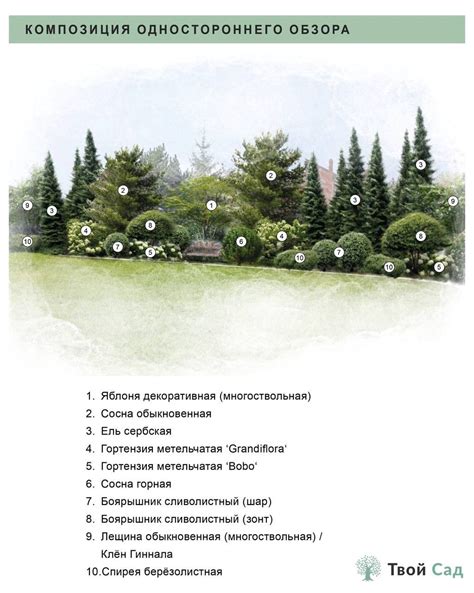 Пин от пользователя Михайлова Маргарита на доске Цветы флористика сады Озеленение обочин