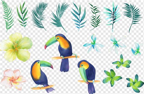 Ilustração De Três Tucanos Pintura Em Aquarela De Bico De Papagaio