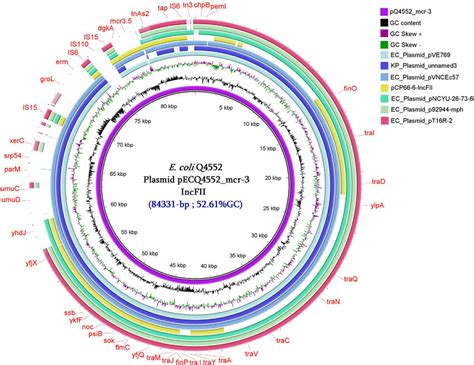 Circular Map Of The Plasmid Carrying Mcr 3 5 Compared To Six Homologous