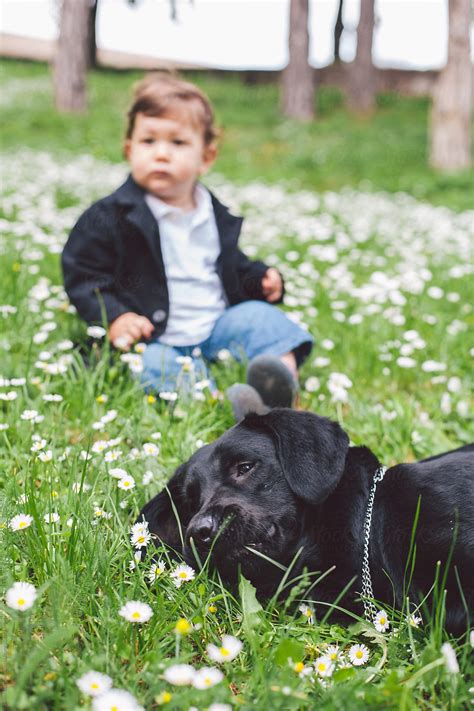 Boy And His Pet Friend In The Park Del Colaborador De Stocksy Jelena Jojic Tomic Stocksy