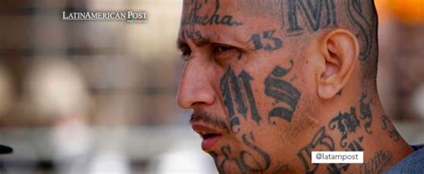 The Mara Salvatrucha Are They Looking To Settle In Other Regions Of