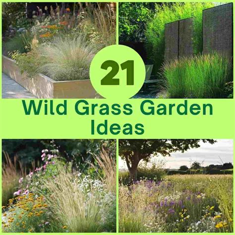 21 Top Wild Grass Garden Ideas