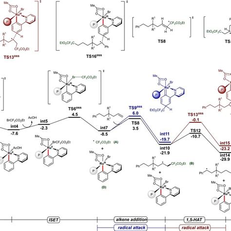 Computed relative Gibbs free energies ΔG 338 15 in kcal mol À 1 for