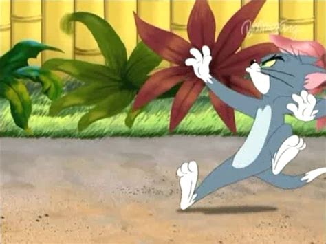 Tom And Jerry Tales S1 E1 Tom Feet 1 By Giuseppedirosso On Deviantart