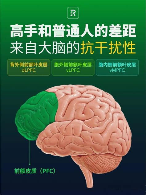 【前额皮质】高手和普通人的差距来自大脑的抗干扰性 知乎