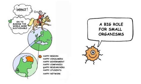 Big Role For Small Organisms Agro And Chemistry