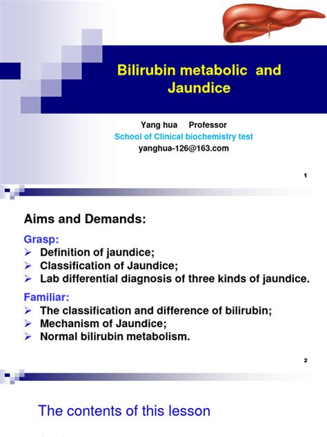Chapter15 Bilirubin Metabolic And Its Disorders Download Free Pdf Medical Specialties Liver