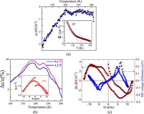 A Temperature Derivative Dε Dt À Á Of The Strain Vs Temperature The