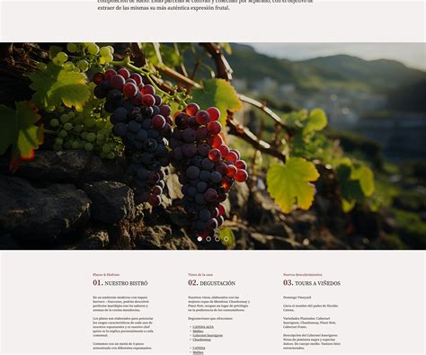 Landing Design Behance