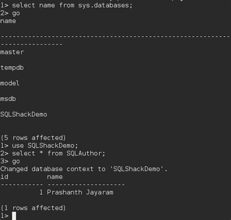 Understanding Backup And Restore Operations In Sql Server Docker Containers