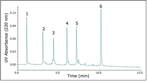 Method Development For Hydrophobic Interaction Chromatography Hic