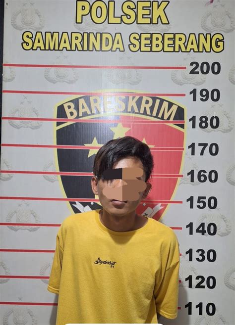 Rudapaksa Keponakan Di Bawah Umur Seorang Paman Di Samarinda Ditangkap