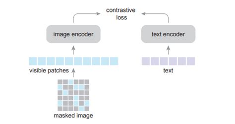 Paper Reading Scaling Language Image Pre Training Via Masking
