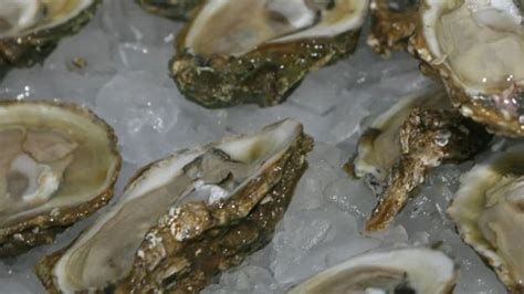 Mobile Shellfish Growing Waters Reopened
