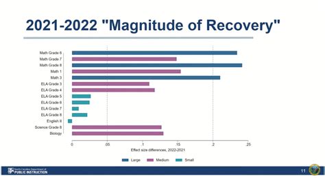 Dpi Report Shows Progress In Learning Loss Recovery