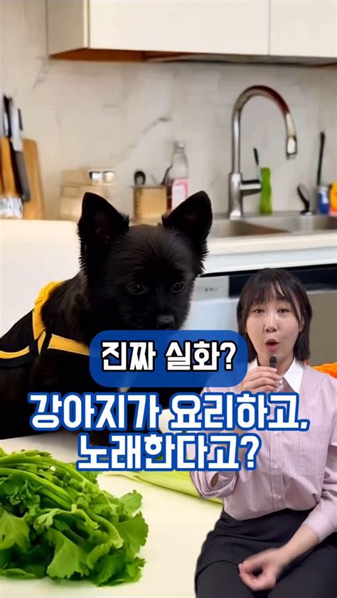 📌주요기능과 바로가기 링크가 필요하다면 아무댓글 남겨주세요 1️⃣엑셀 함수→ 챗 Gpt 2️⃣회의록 작성 →클로바노트 3️⃣