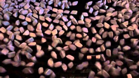 Bojan Fišinger Youtube