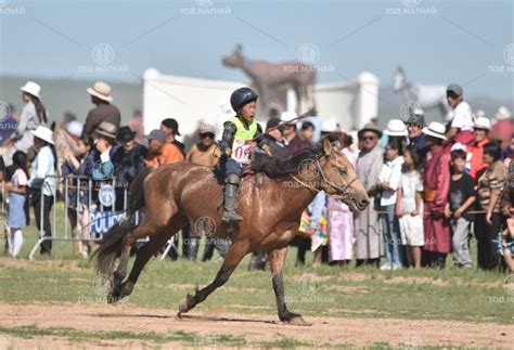 Хэнтий аймгийн 100 жилийн ой зүүн бүсийн уралдаанд байтай уралдсан азарганууд