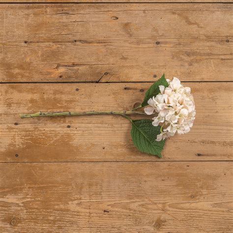 18 Pale Peach Hydrangea Spray Ragon House