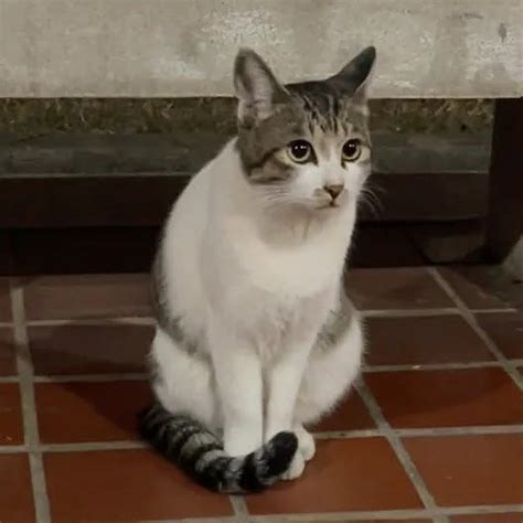 許呈安 Chengan0215 • Threads Say More