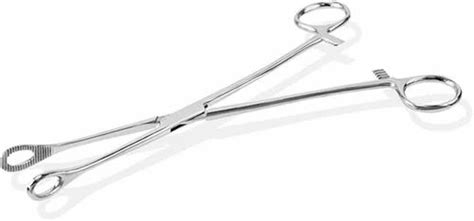 Sponge Holder Forcep At ₹ 130 Piece Jalandhar Id 2856278882262