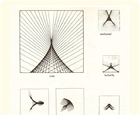Six Catastrophes Potentials Geometries Cusp Swallowtail Butterfly Download Scientific