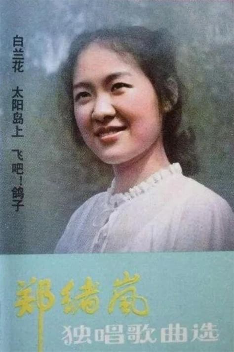 郑绪岚：远嫁美国变落寞 45岁患病 47岁男友去世 至今未婚 ＊ 阿波罗新闻网
