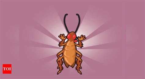 Cockroach Milk Has 3x More Energy Than Buffalo Milk Times Of India