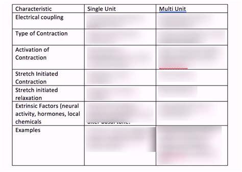 Lecture 11 Smooth Muscle Diagram Quizlet