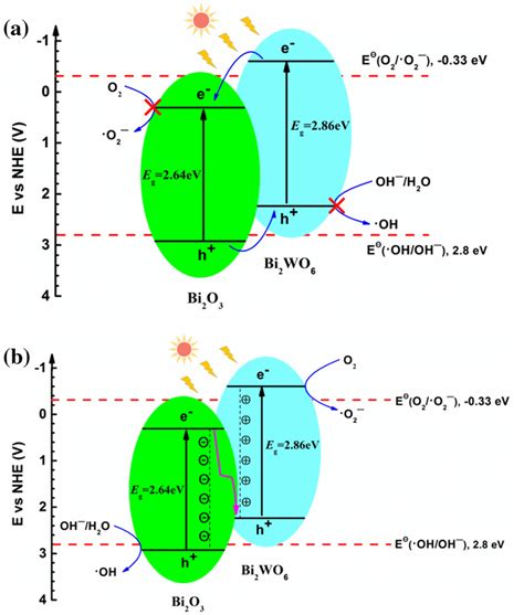 Schematic Diagrams Of Photoexcited Electronhole Separation Process Download Scientific Diagram