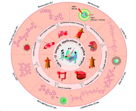 Scheme 1 Illustrative Representation Of Nir I Ii Fluorescence Imaging