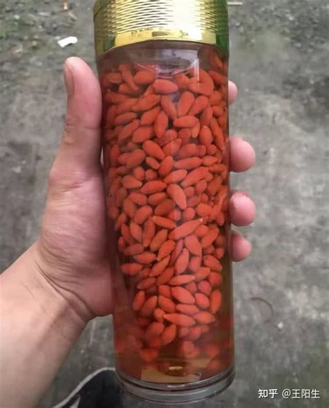 年轻人，你的保温杯枸杞泡对了吗？ 知乎