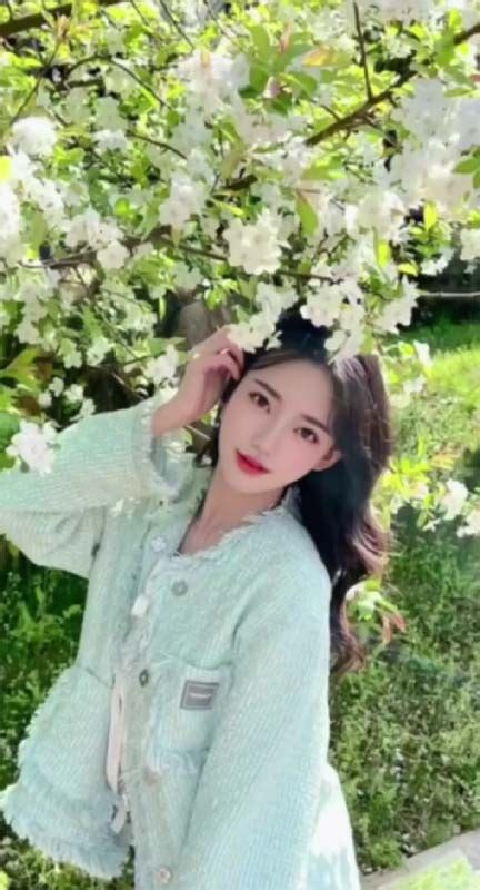天津 南开津鸡档案馆 22 无名蜀鸡 寻花论坛