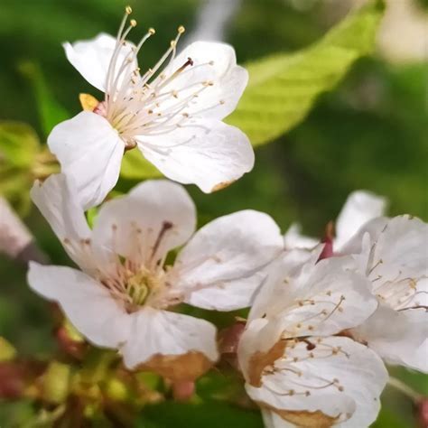 Ana Coretchi Coretchi A • Instagram Photos And Videos