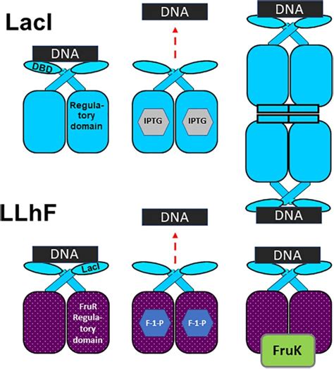 The Strengths And Limitations Of Using Biolayer Interferometry To
